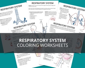 Halloween Pumpkin Coloring Worksheet - Etsy