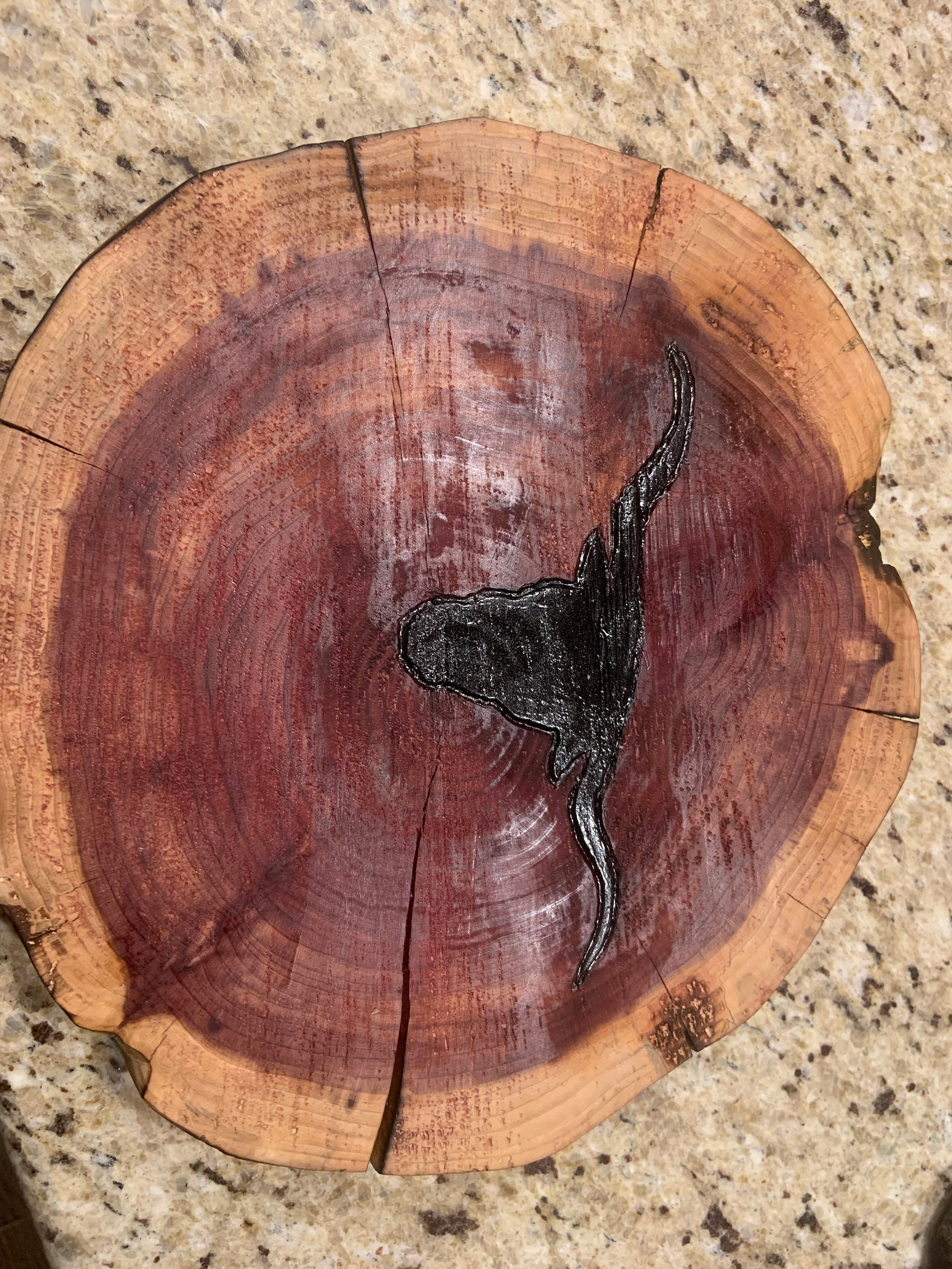 Longhorn Cedar Slice - Etsy