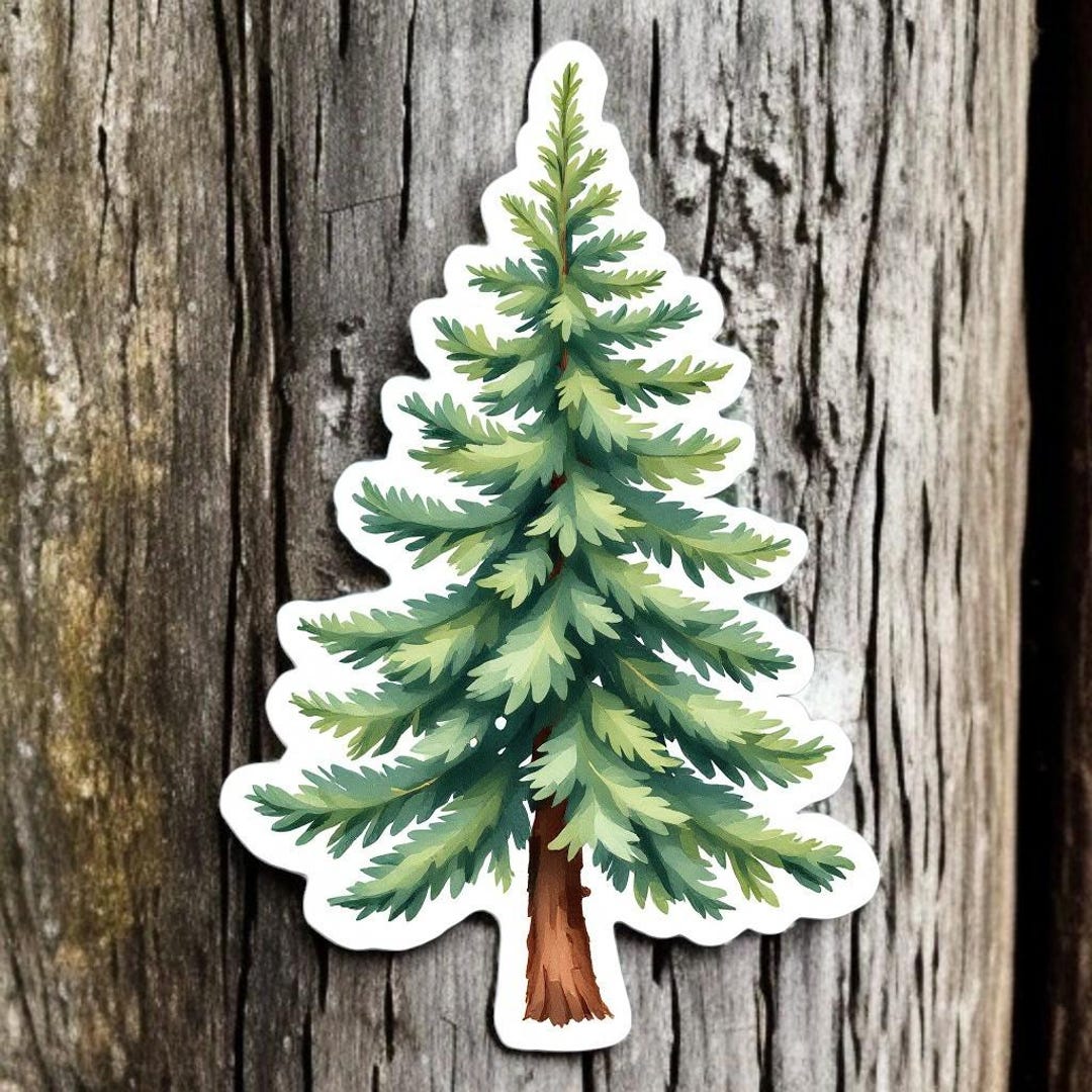 PINE TREE | Vinyl Sticker - Tree, Pine Tree, Evergreen, Washington ...
