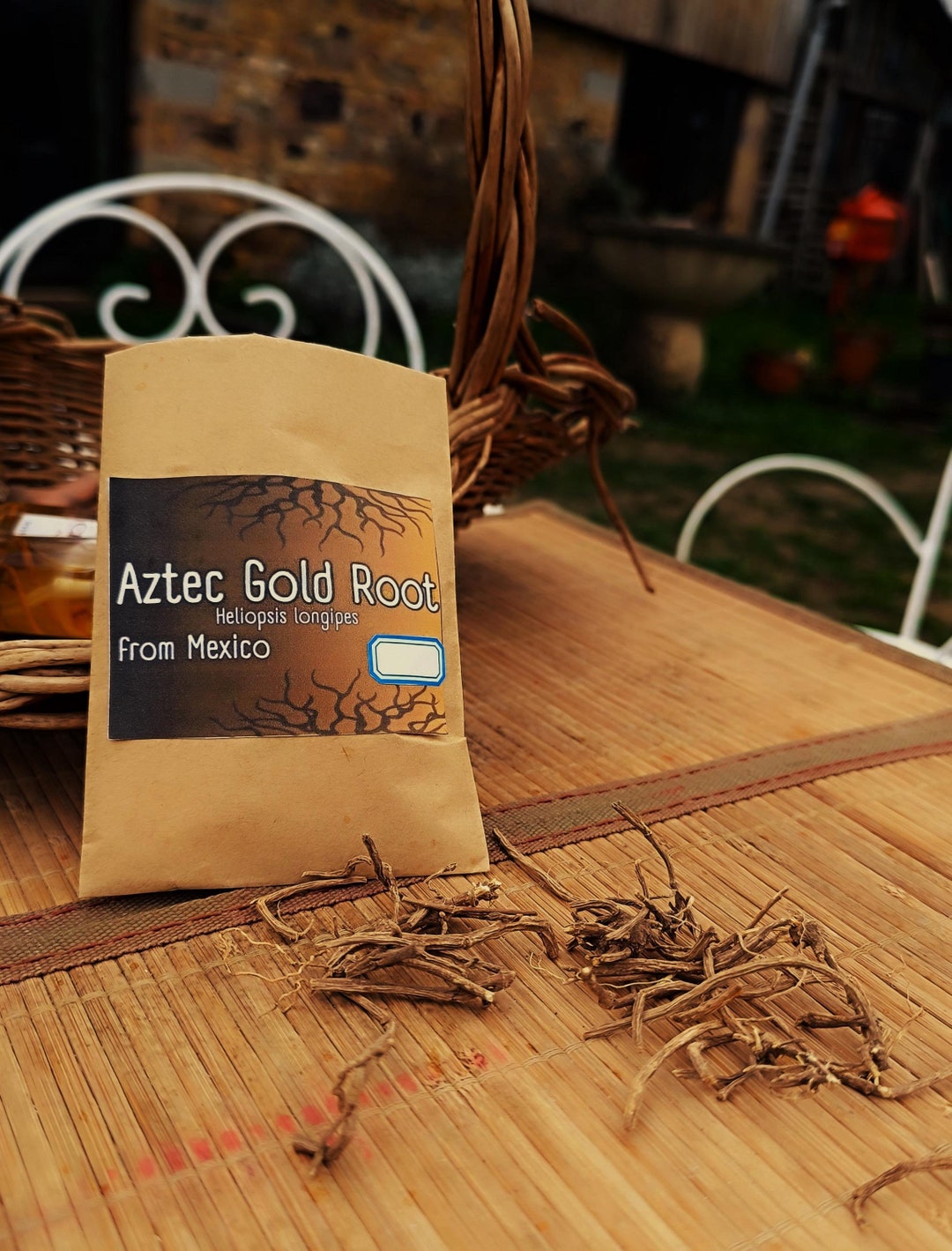 Golden Root Heliopsis Longipes chilcuague - Etsy