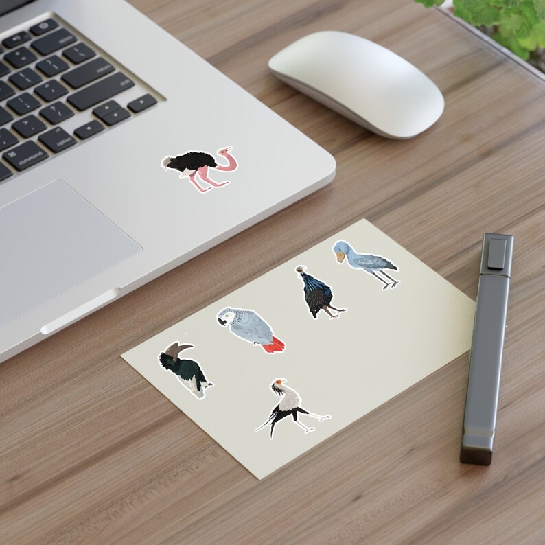 Birds of Africa Sticker Sheet - Etsy