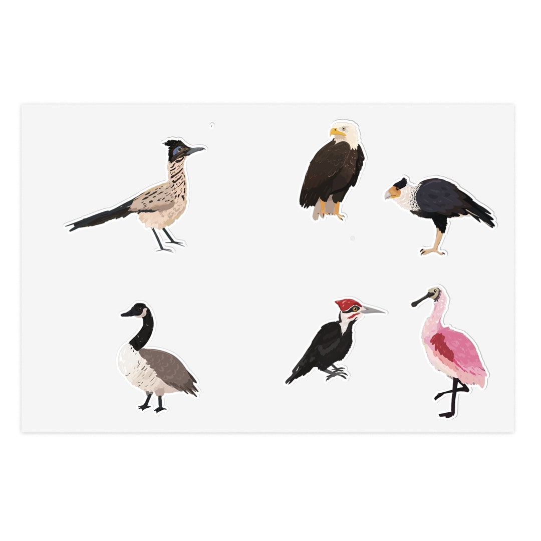 Birds of North America Sticker Sheet - Etsy