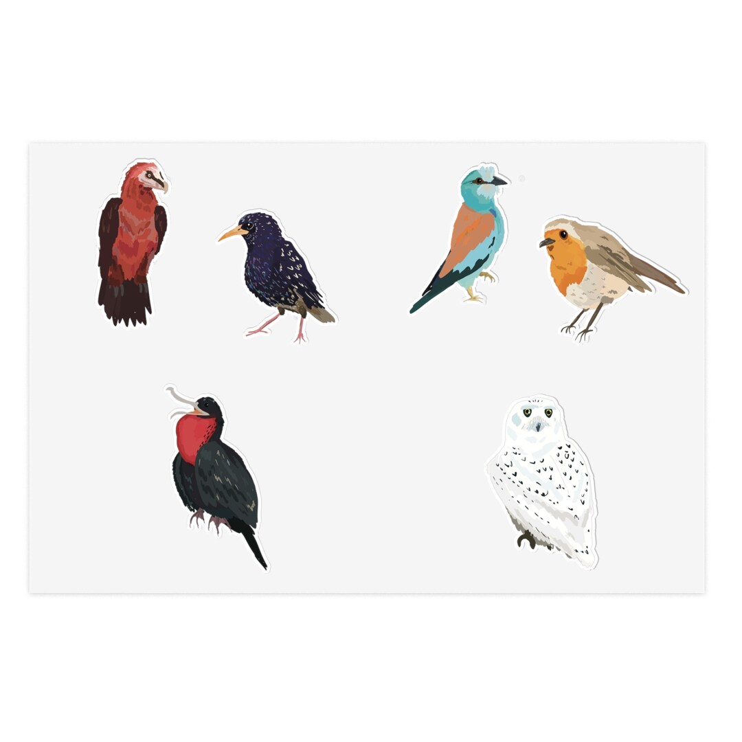 Birds of Europe Sticker Sheet - Etsy