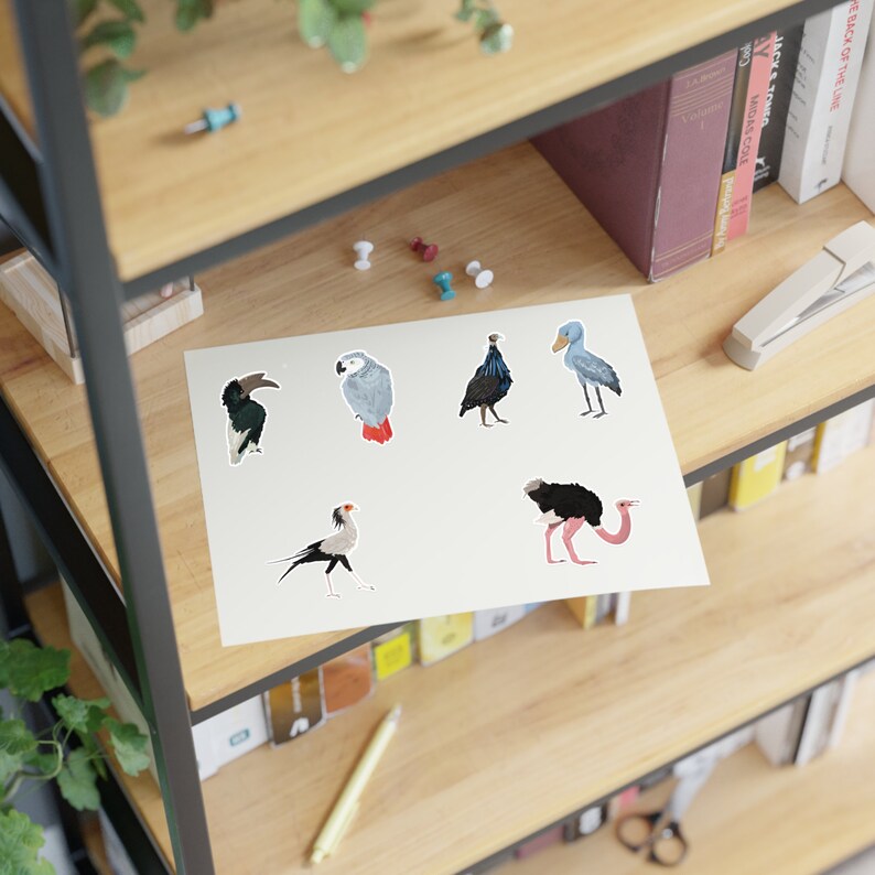 Birds of Africa Sticker Sheet - Etsy