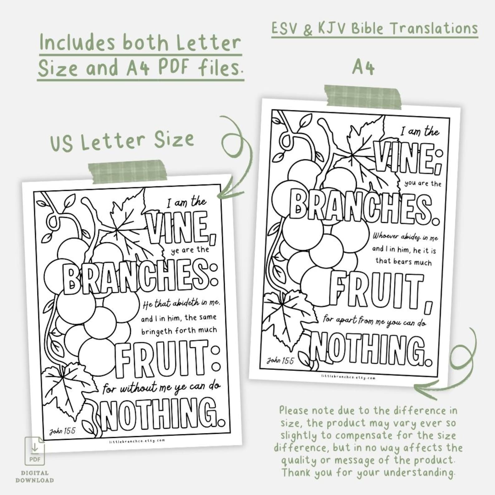 Printable John 15:5 Colouring Page, I Am the Vine You Are the Branches ...
