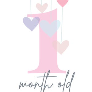Baby First Year Milestone Cards | Baby Shower Gift | Gift for Parent ...