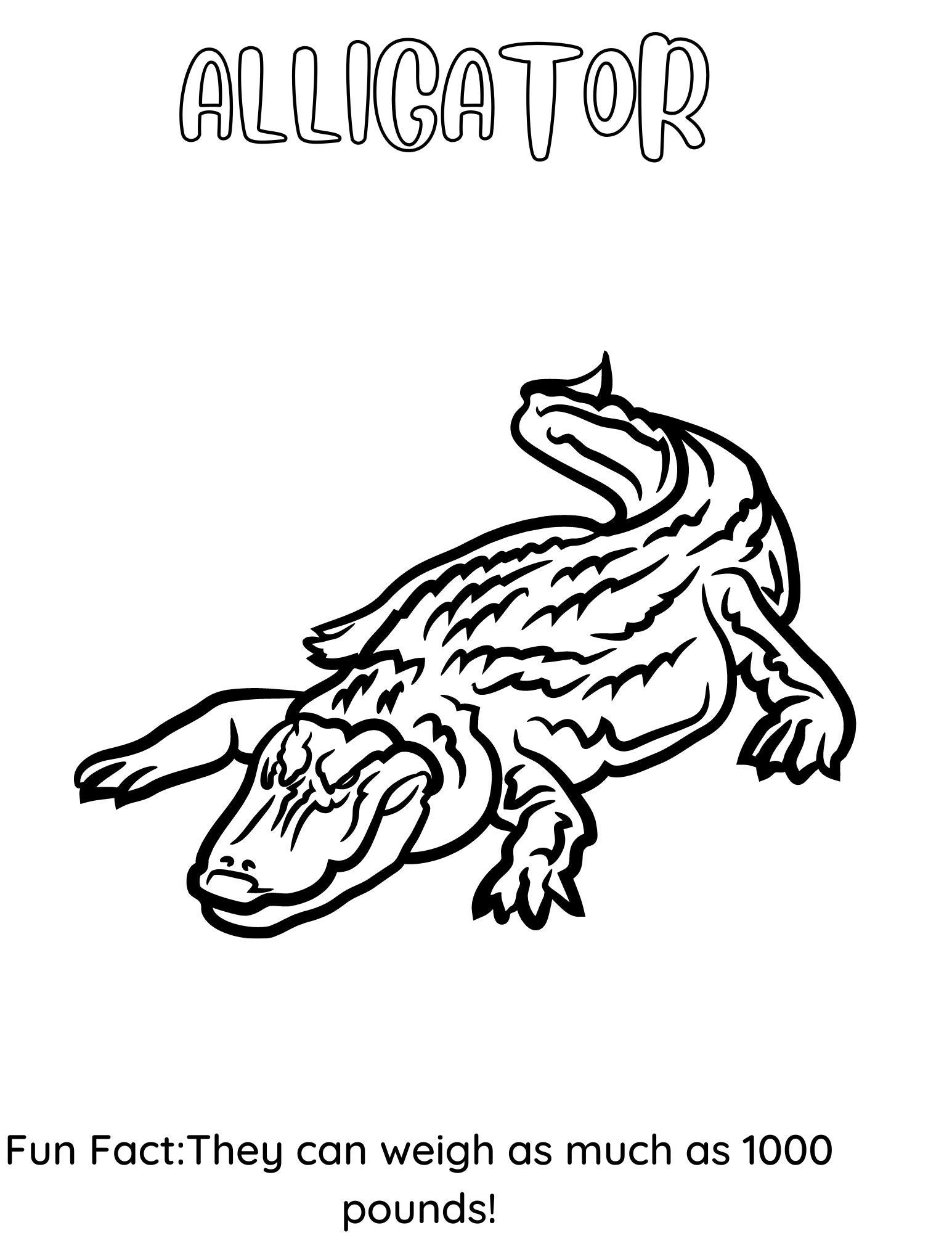 Alligator Coloring Pages Preschool