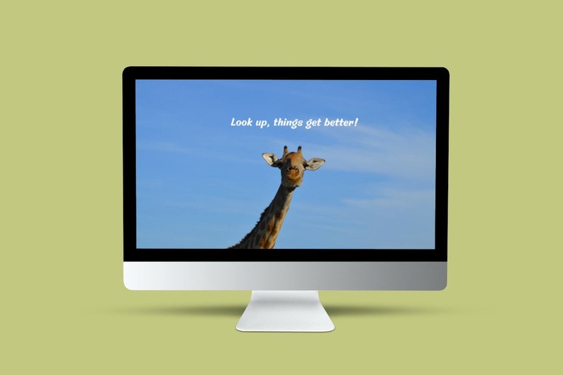 Giraffe Desktop Wallpaper, Aesthetic Mac Background, Computer Wallpaper ...