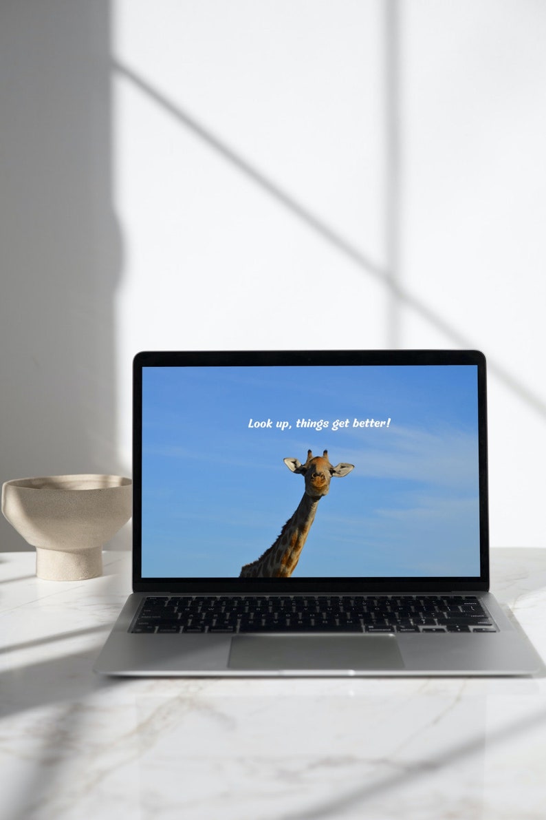 Giraffe Desktop Wallpaper, Aesthetic Mac Background, Computer Wallpaper ...