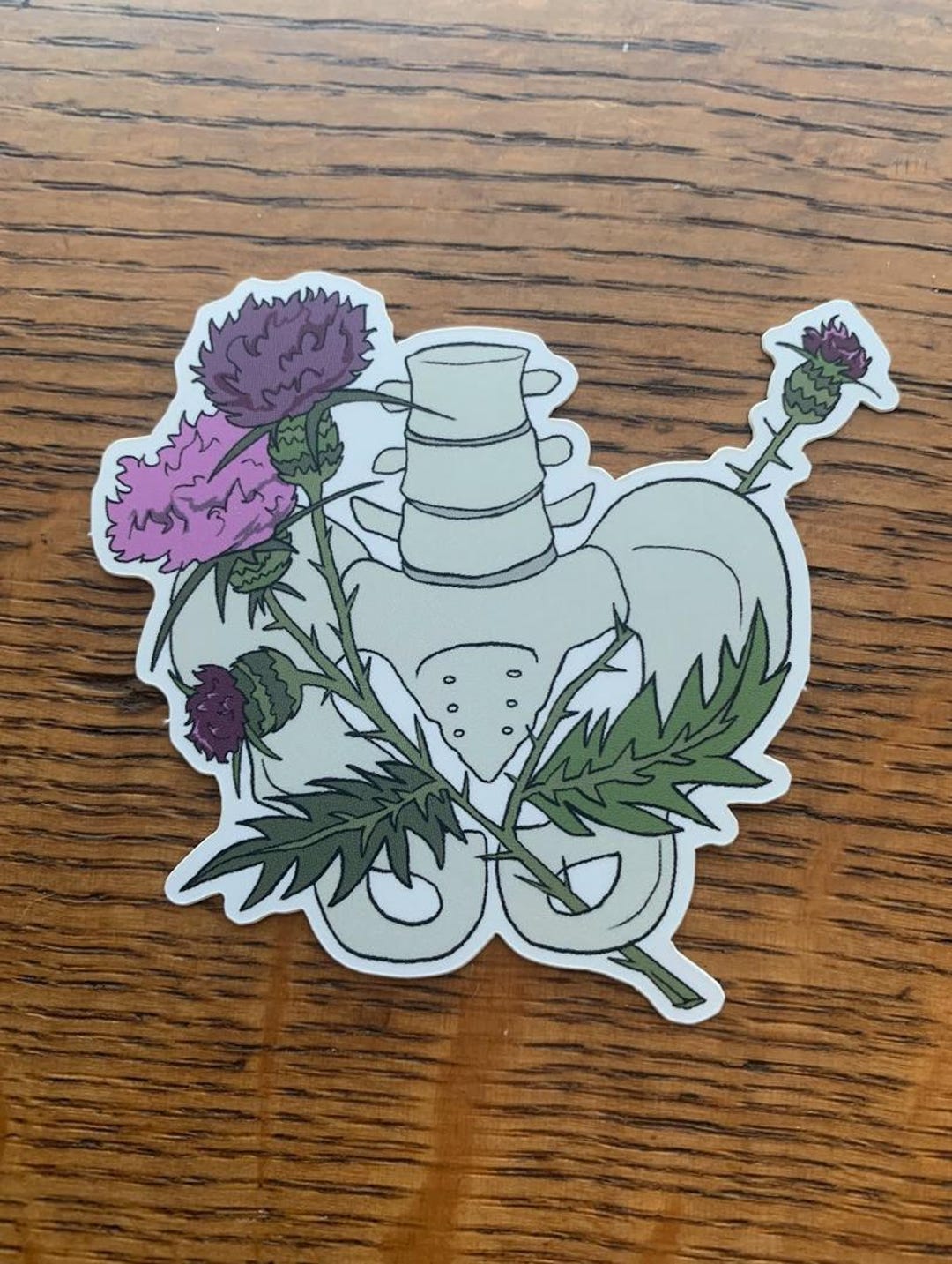 Thistle Pelvis Sticker - Etsy
