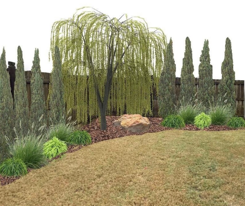 CUSTOM Landscape Design for YOUR Landscaping Needs (A) - Etsy