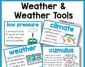 Ecosystems Biomes Definition Posters for Science Bulletin Board ...