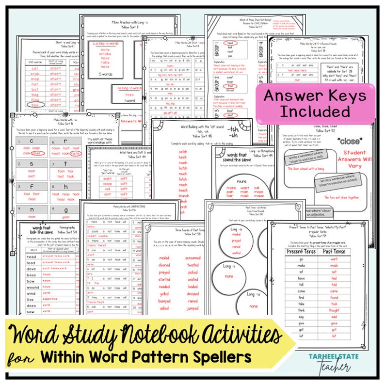 Within Word Pattern Phonics | Short Vowels & Long Vowel Spelling | R ...