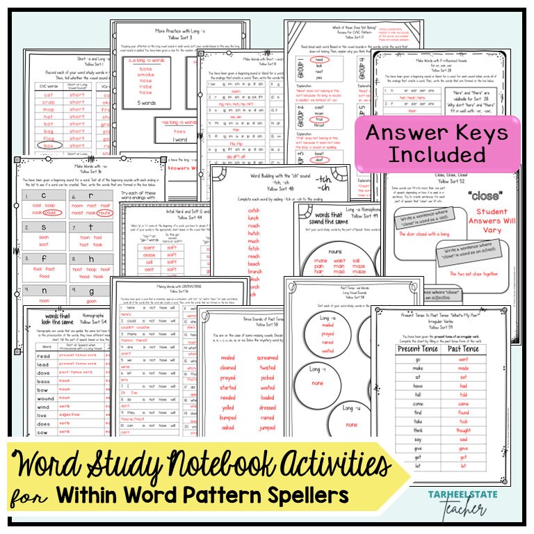 Within Word Pattern Phonics Short Vowels & Long Vowel Spelling R ...