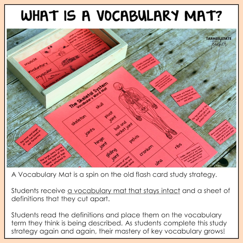 Skeletal & Muscular Systems Vocabulary and Definition Practice | Vocab ...