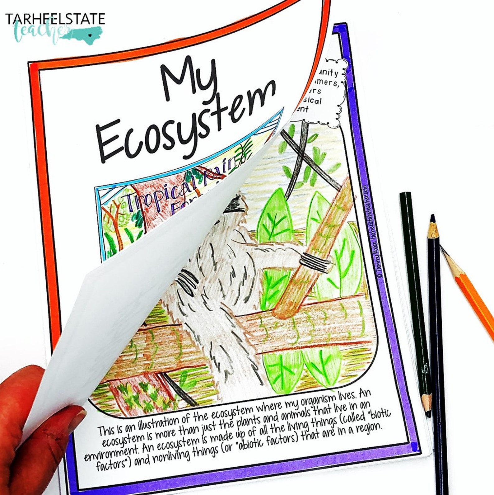 Ecosystem and Biomes Project - Animal Research Graphic Organizers ...