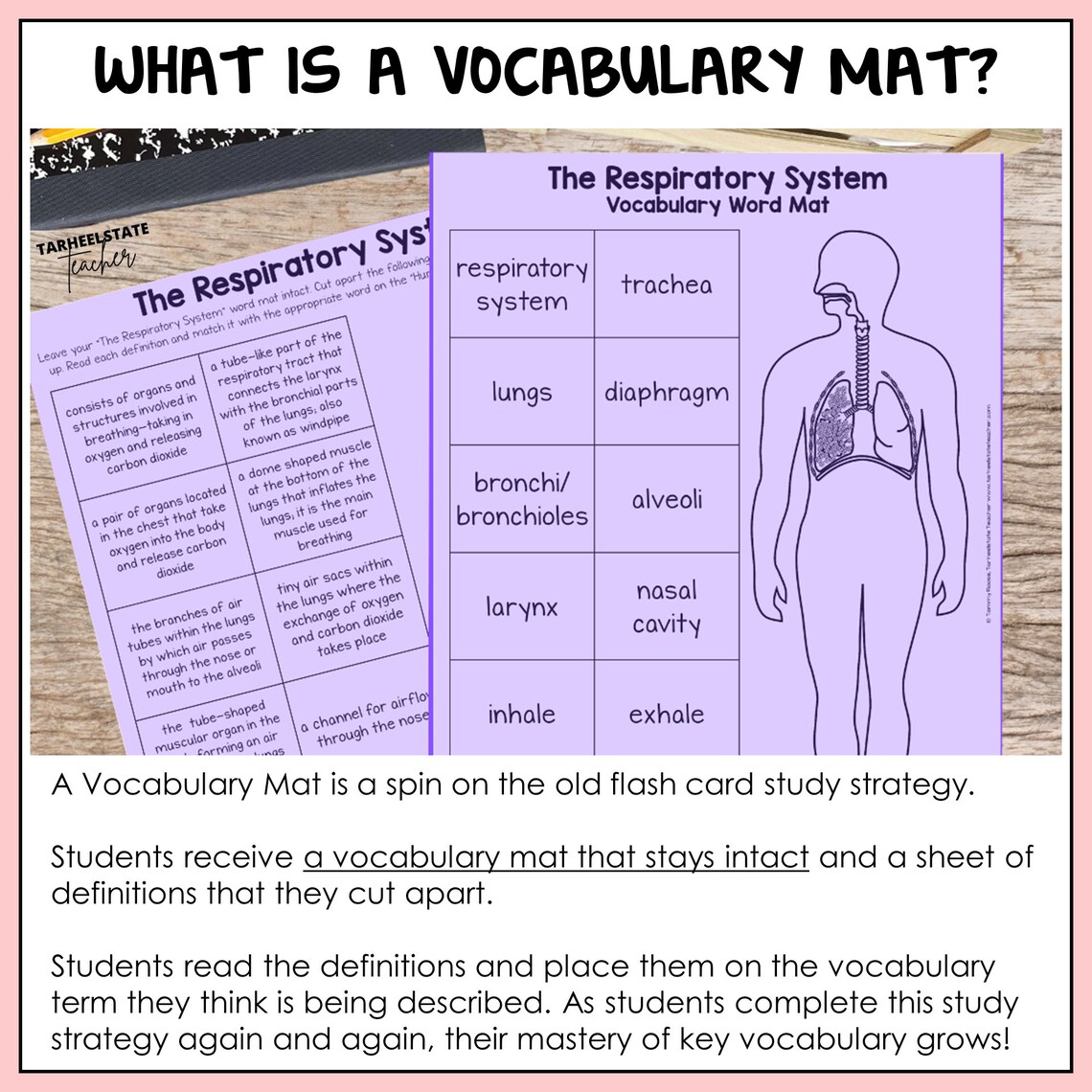 Respiratory & Circulatory System Vocabulary | Study Guide, Quiz ...