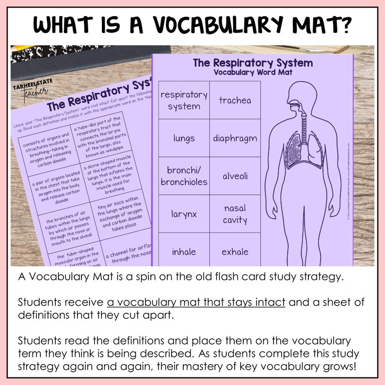 Respiratory & Circulatory System Vocabulary and Definition Practice ...