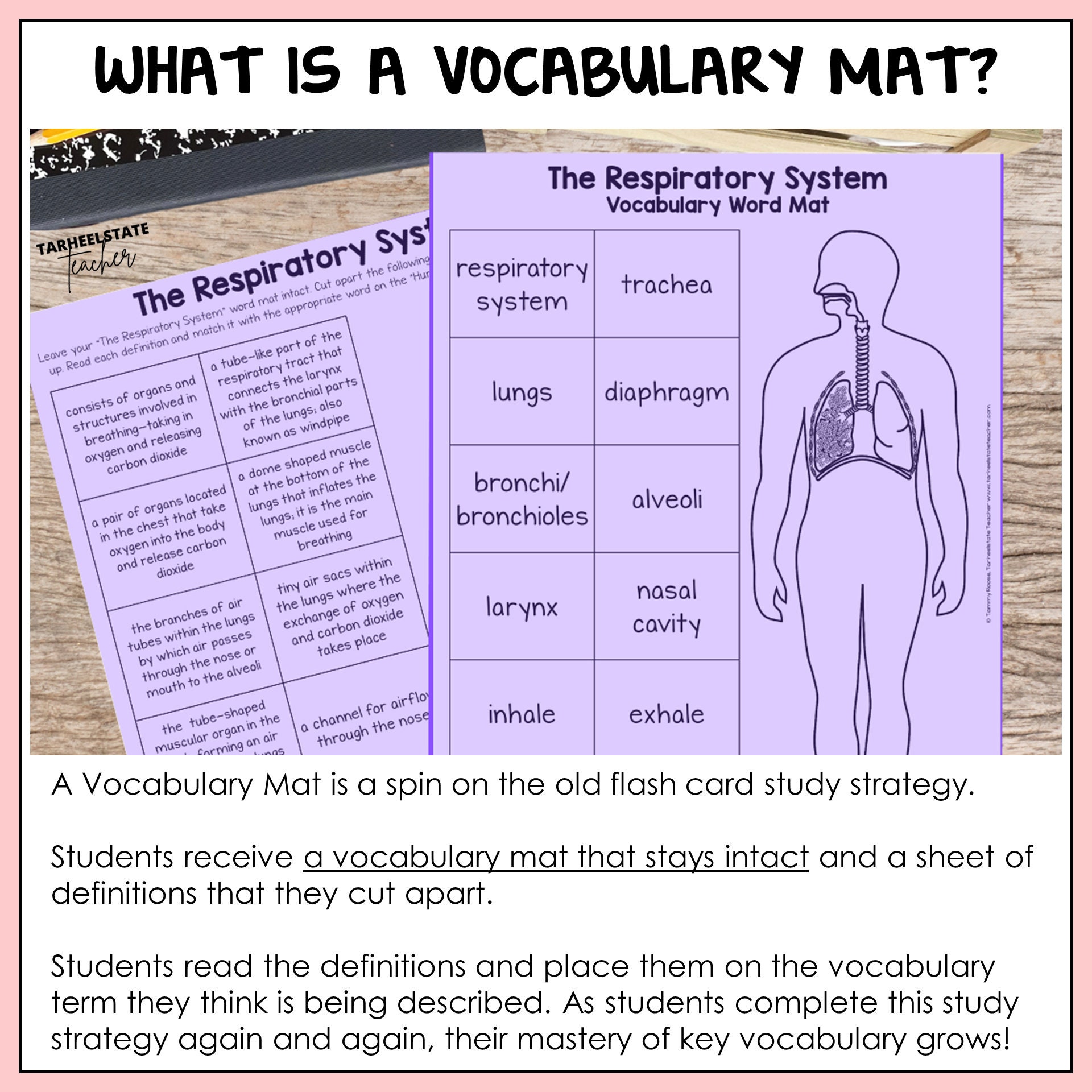 Respiratory & Circulatory System Vocabulary and Definition Practice ...