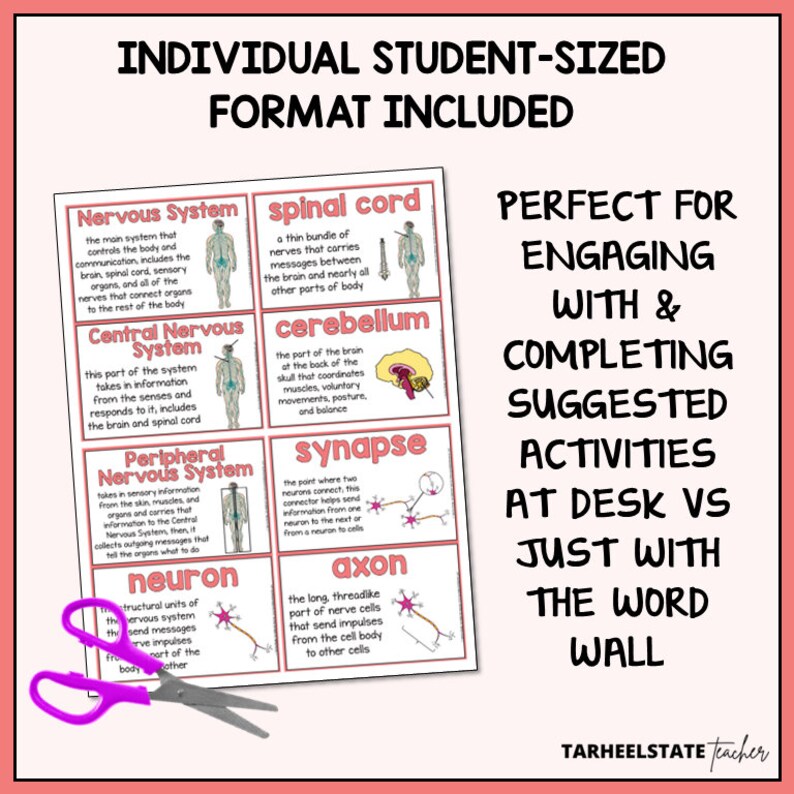 Digestive and Nervous System Definition Posters for Science Bulletin ...