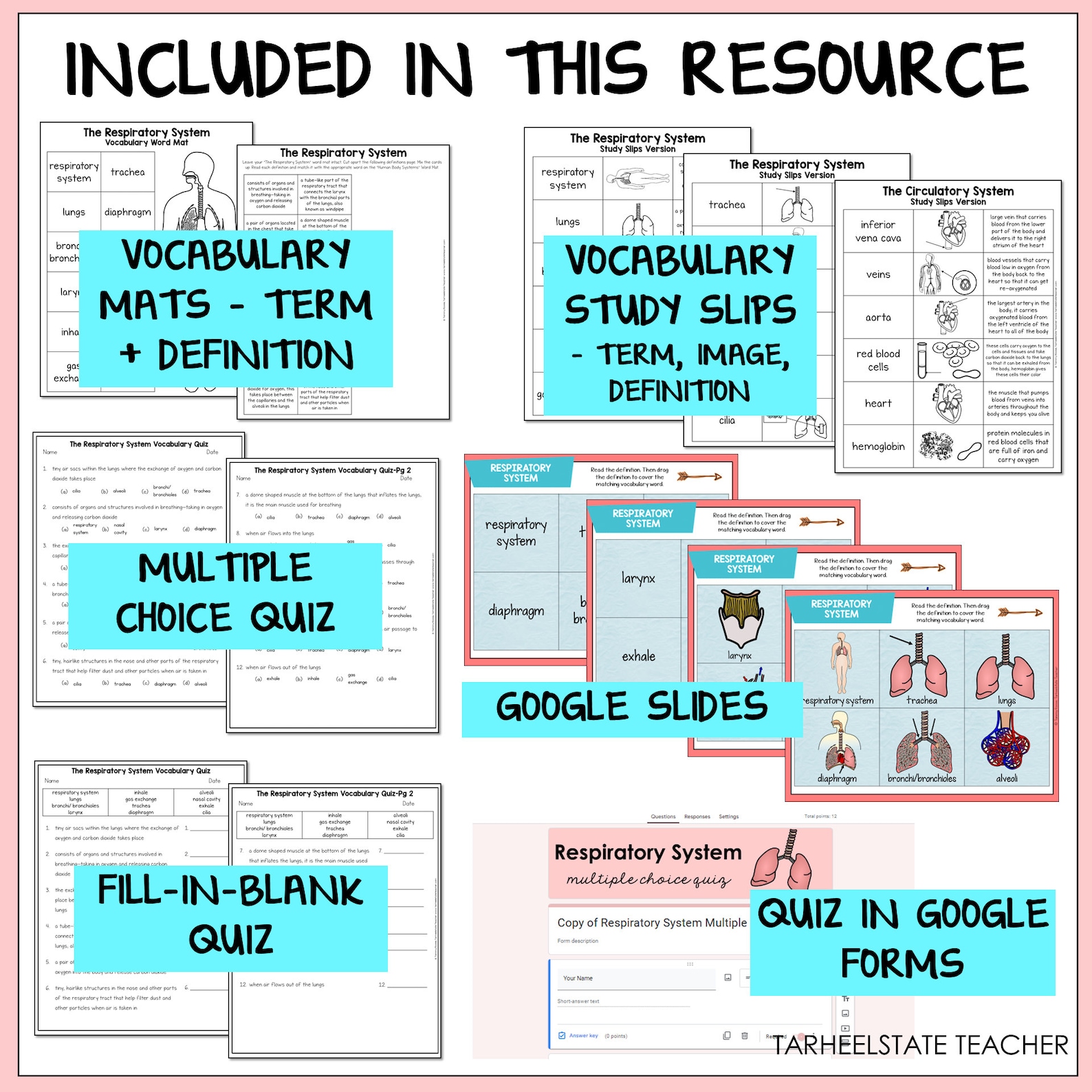 Respiratory & Circulatory System Vocabulary and Definition Practice ...