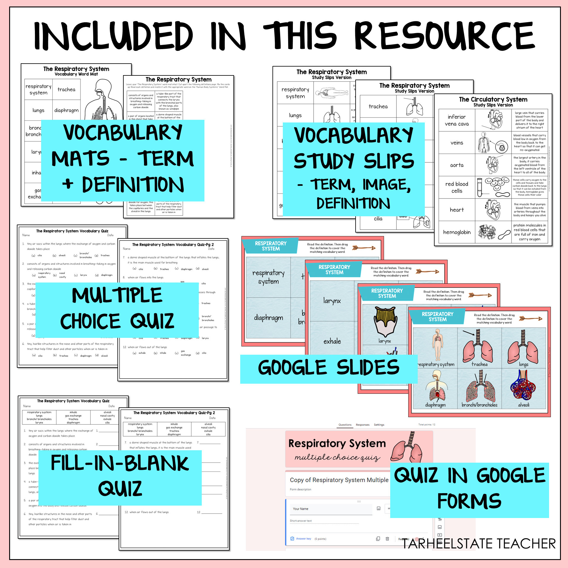 Respiratory & Circulatory System Vocabulary and Definition Practice ...