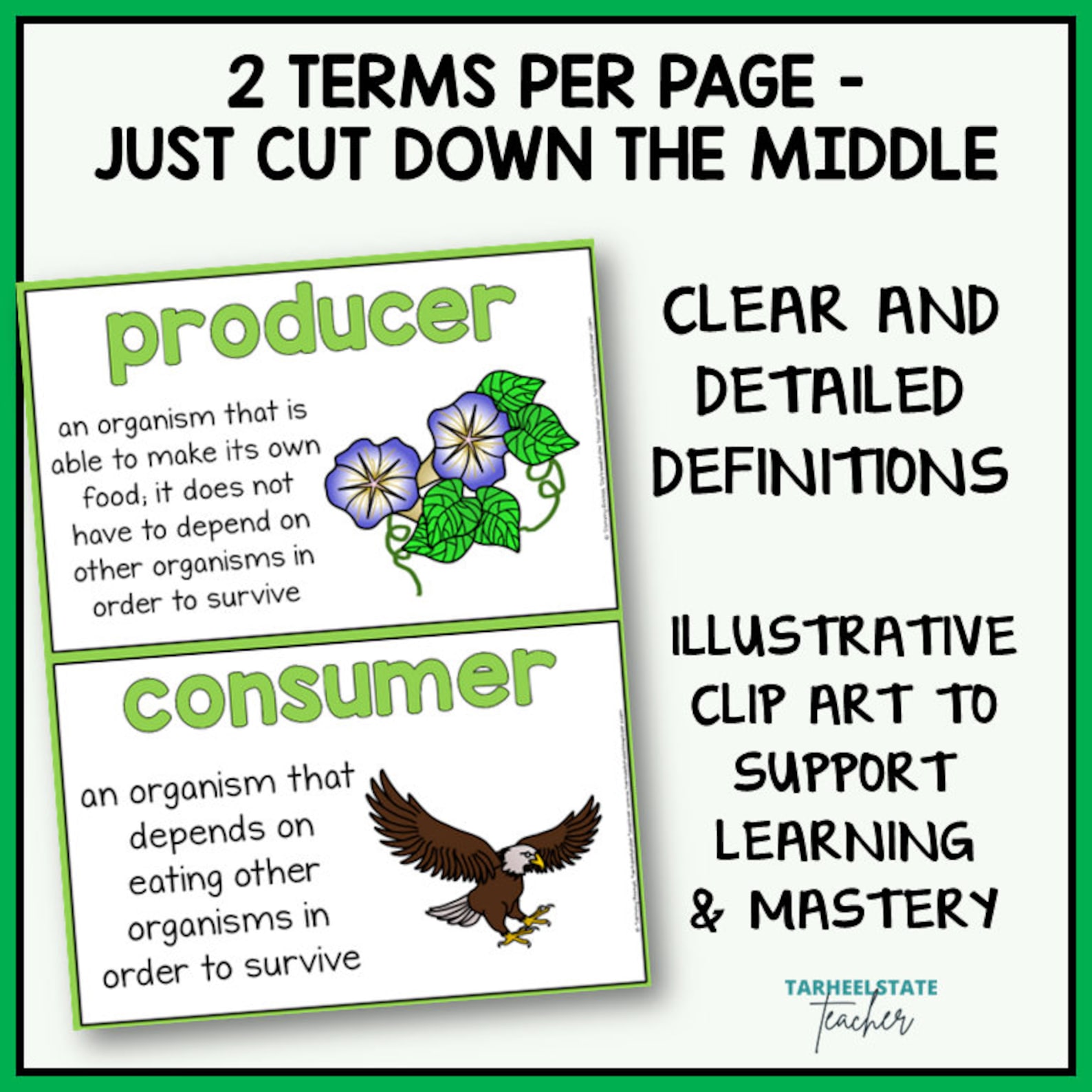 Ecosystems Biomes Definition Posters for Science Bulletin Board ...