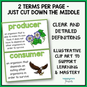 Ecosystems & Biomes Vocabulary Posters | Science Word Wall (digital ...