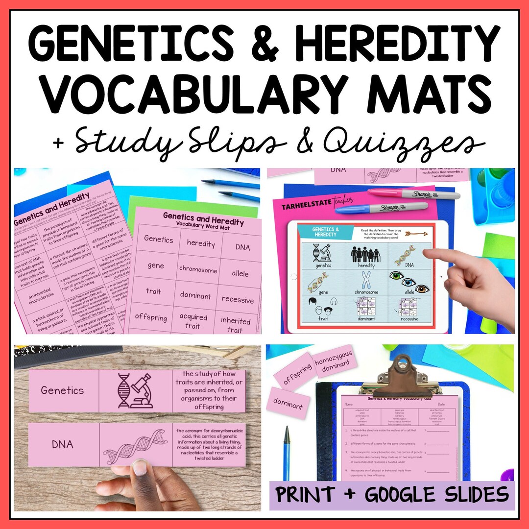 Genetics and Heredity Vocabulary and Definition Practice | Vocabulary ...