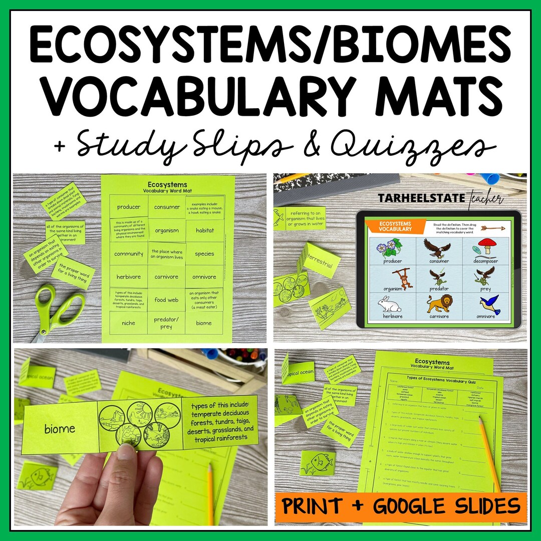 Ecosystems Biomes Vocabulary and Definition Practice | Vocabulary Study ...