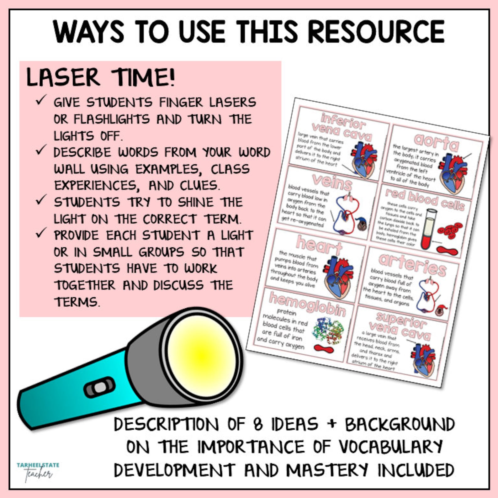 Respiratory & Circulatory System Word Wall | Science Classroom Decor ...