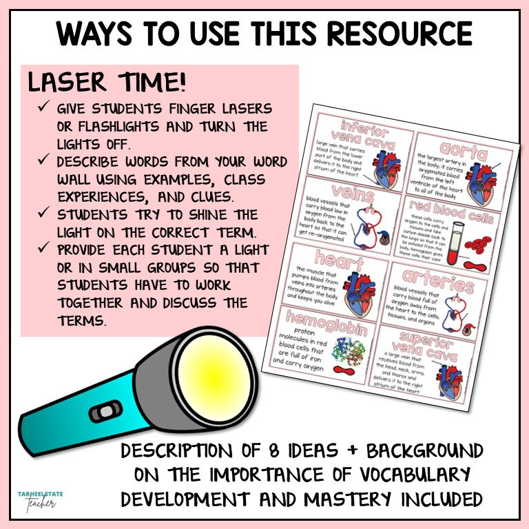 Respiratory & Circulatory System Word Wall | Science Classroom Decor ...