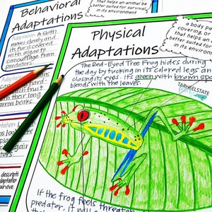 Ecosystem and Biomes Project - Animal Research Graphic Organizers ...