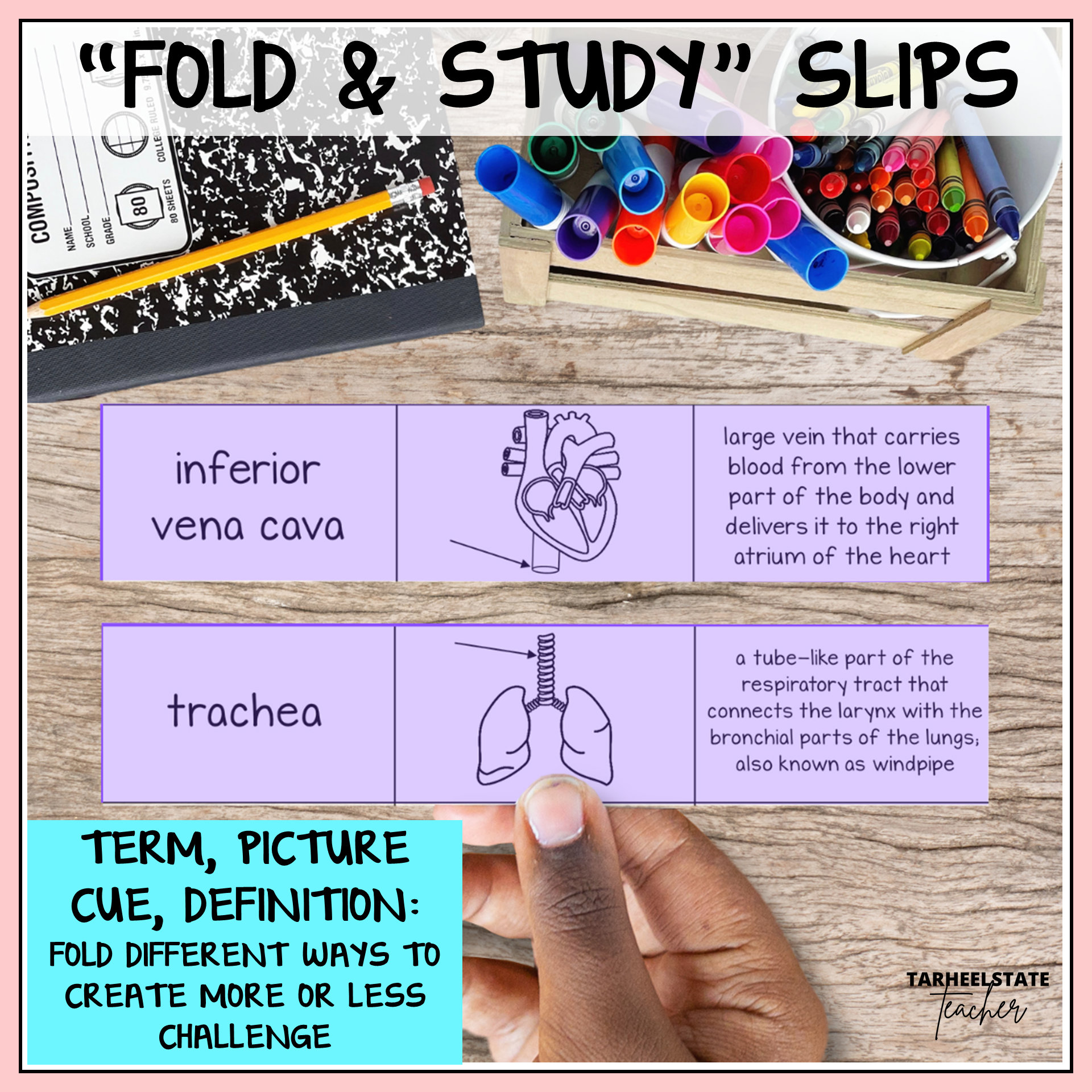 Respiratory & Circulatory System Vocabulary and Definition Practice ...