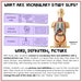 Respiratory & Circulatory System Vocabulary | Study Guide, Quiz ...