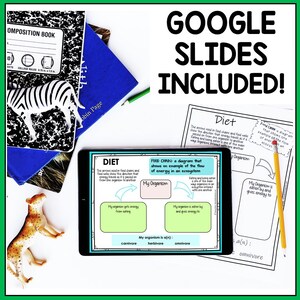 Ecosystem and Biomes Project - Animal Research Graphic Organizers ...