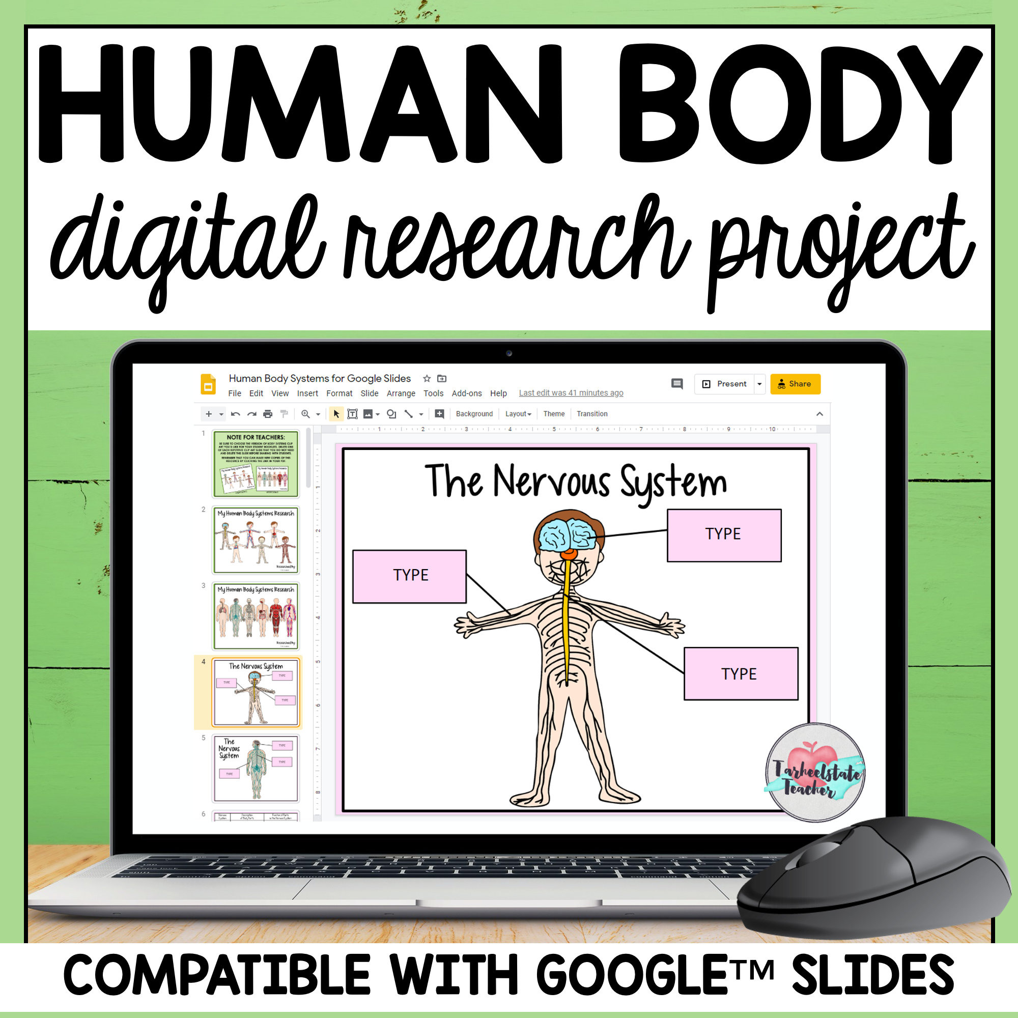 6 Human Body Systems and Functions Research Project | Circulatory ...
