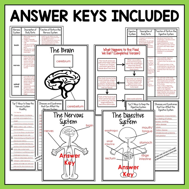 6 Human Body Systems and Functions Research Project | Circulatory ...