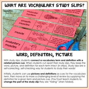 Skeletal & Muscular Systems Vocabulary and Definition Practice | Vocab ...