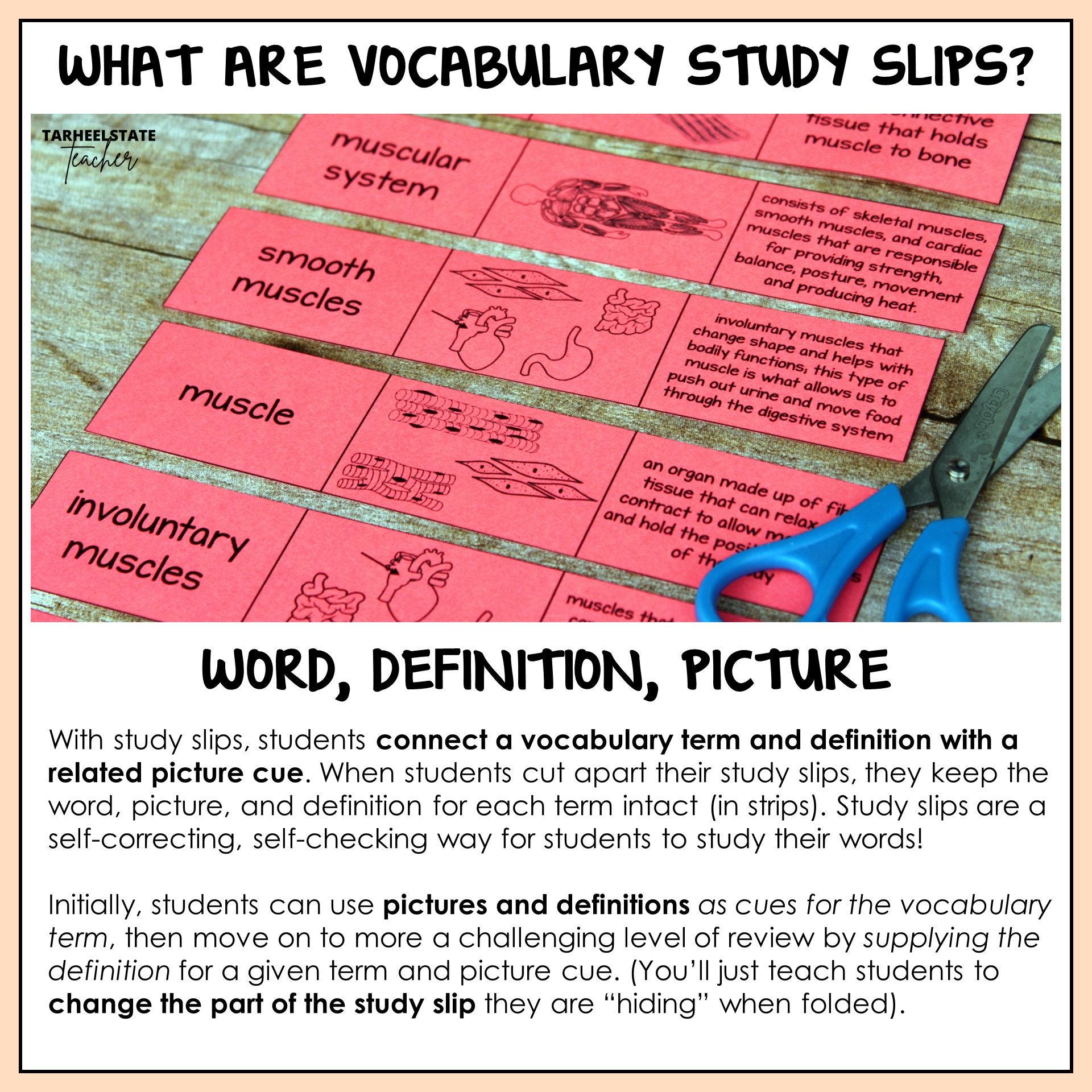 Skeletal & Muscular Systems Vocabulary and Definition Practice Vocab ...