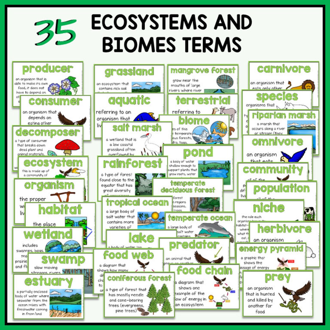 Ecosystems & Biomes Vocabulary Posters | Science Word Wall (digital ...