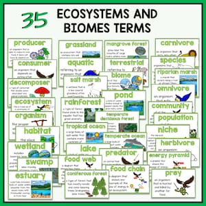 Ecosystems Biomes Definition Posters for Science Bulletin Board ...