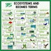 Ecosystems & Biomes Vocabulary Posters | Science Word Wall (digital ...