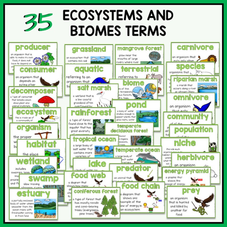 Ecosystems Biomes Definition Posters for Science Bulletin Board ...