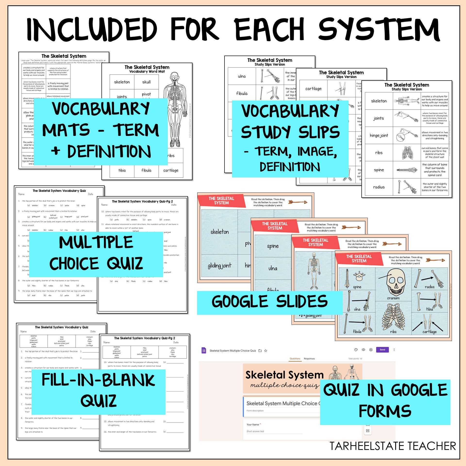 Skeletal & Muscular Systems Vocabulary and Definition Practice Vocab ...