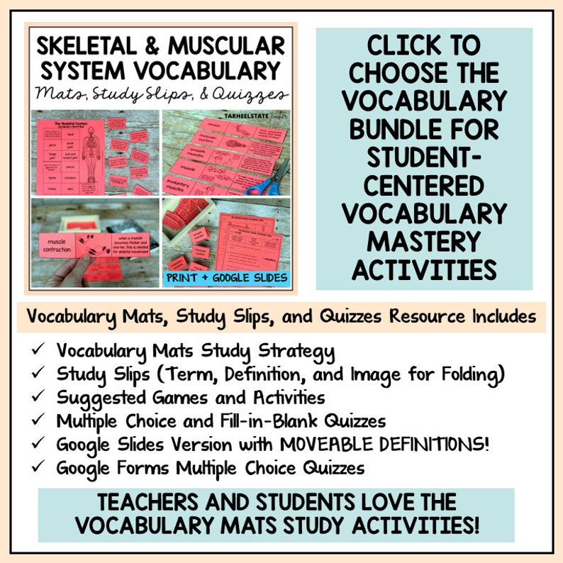 Skeletal and Muscular Definition Posters for Science Bulletin Board ...
