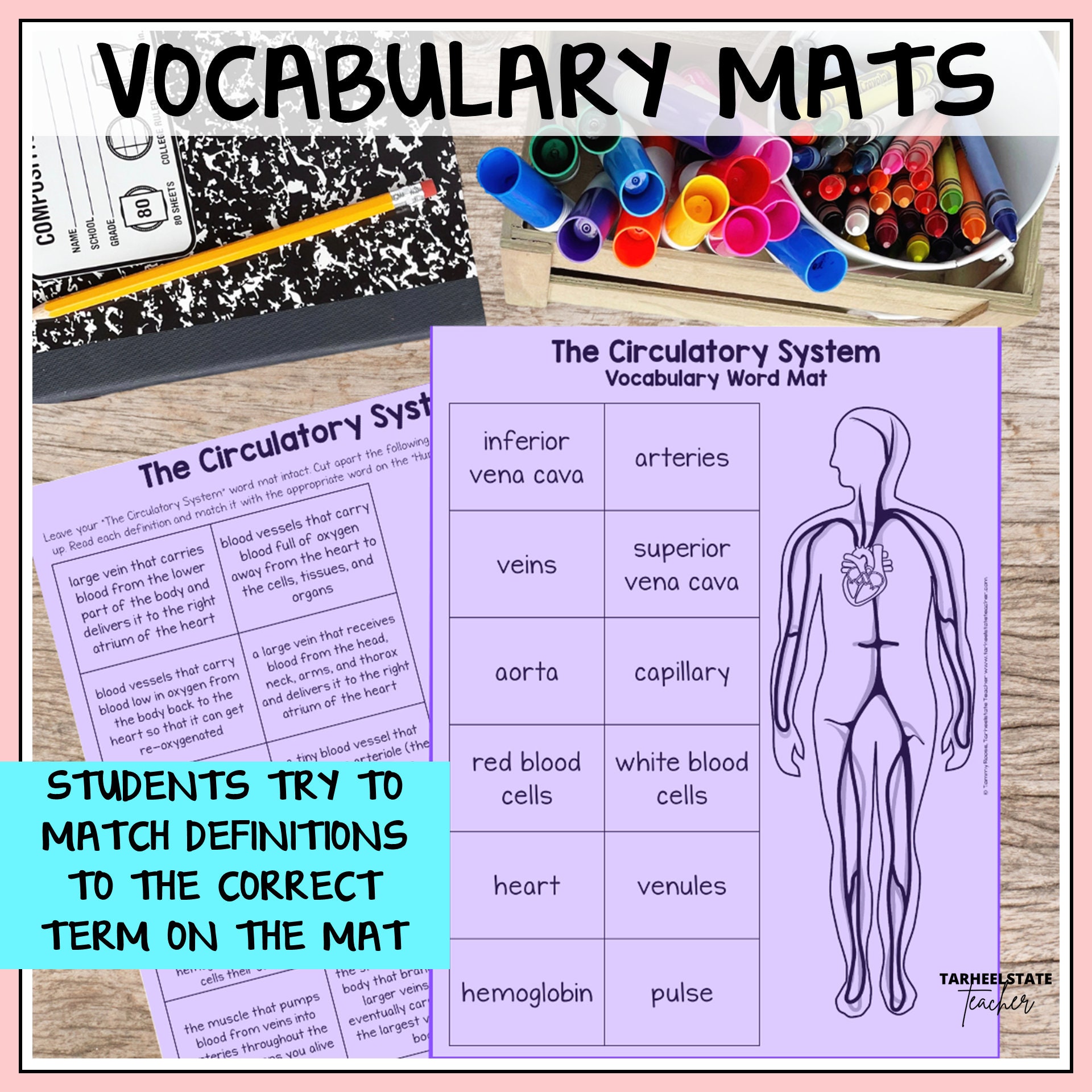 Respiratory & Circulatory System Vocabulary and Definition - Etsy