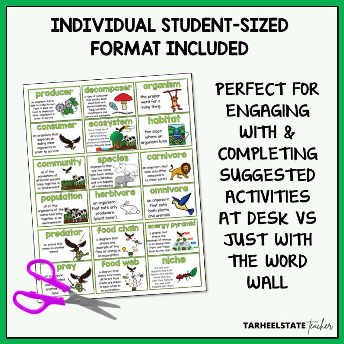 Ecosystems & Biomes Vocabulary Posters | Science Word Wall (digital ...