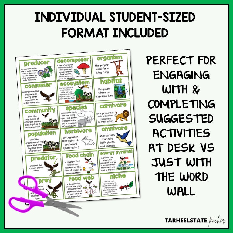 Ecosystems & Biomes Vocabulary Posters | Science Word Wall (digital ...