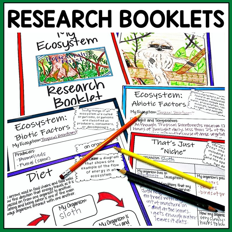 Ecosystem and Biomes Project - Animal Research Graphic Organizers ...